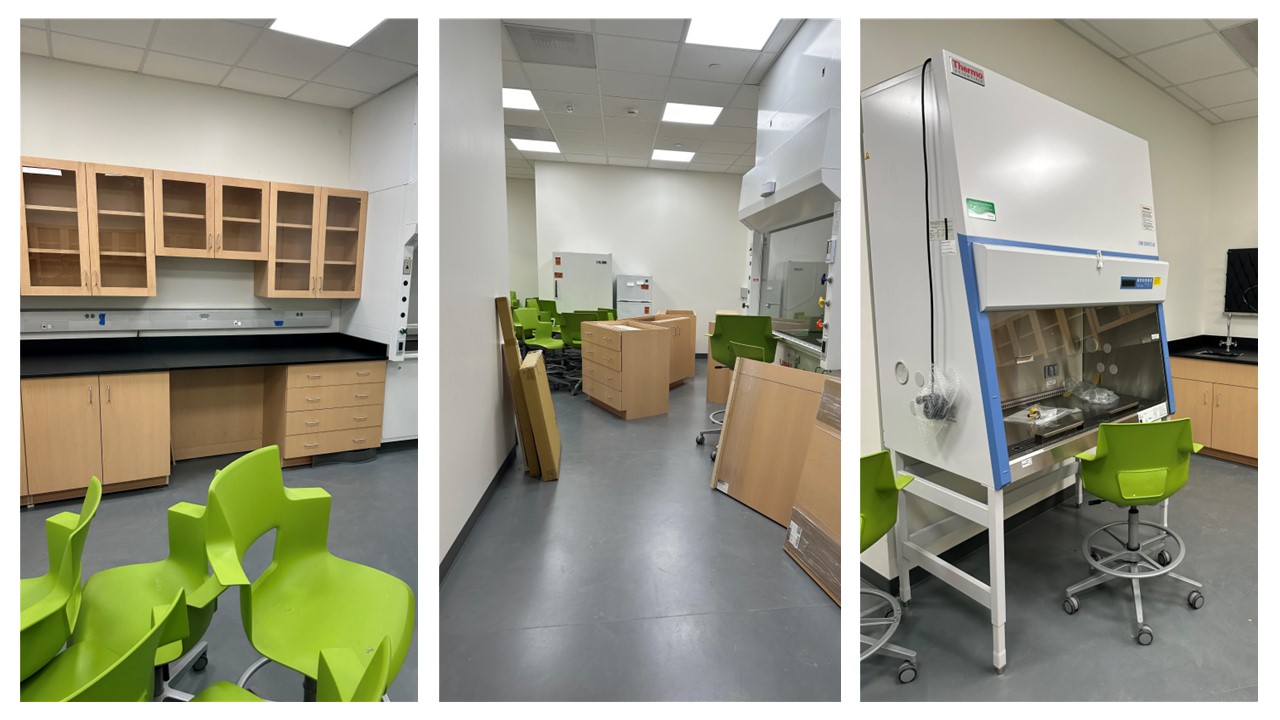 Lab News – Laboratory of Virus Evolution